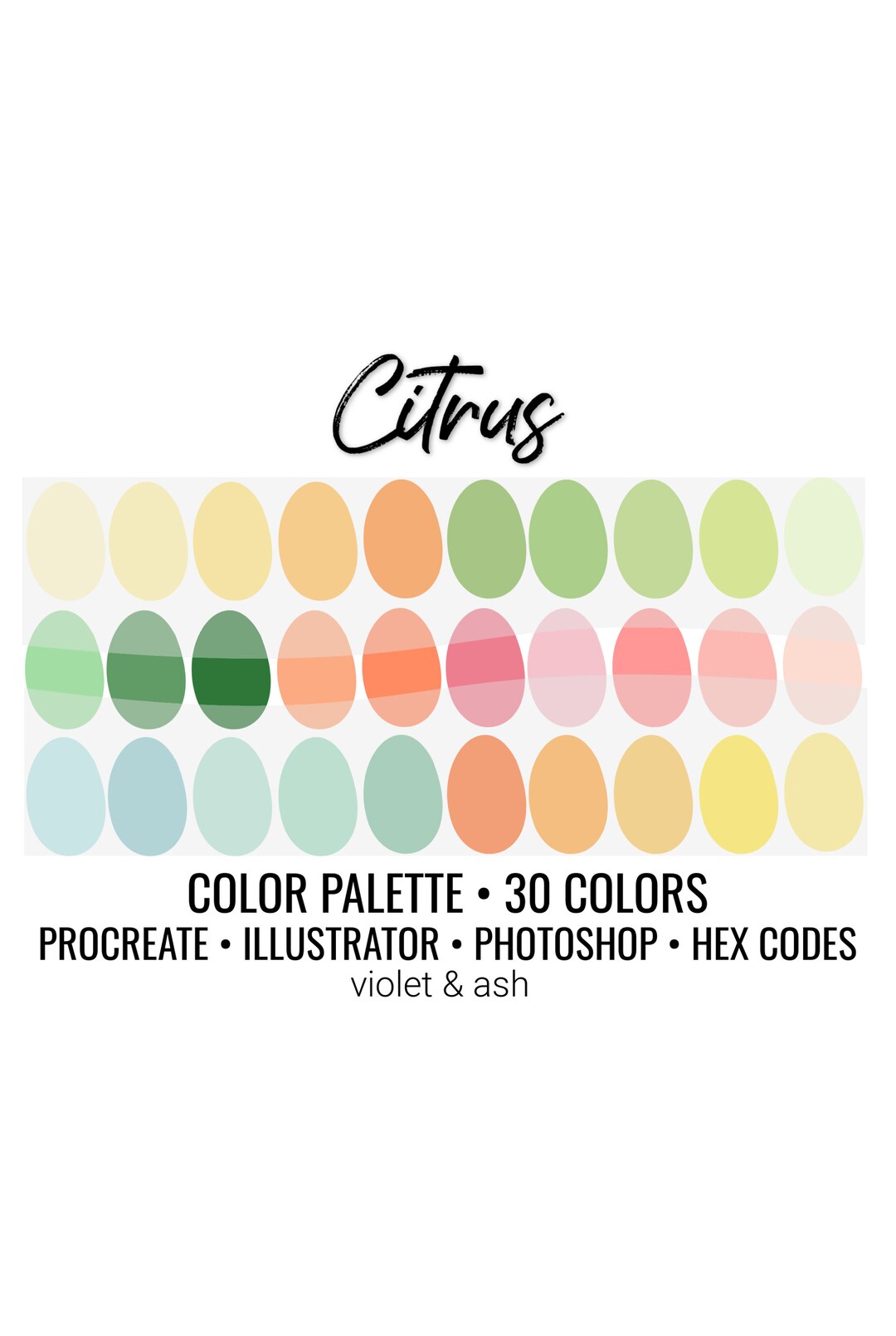 Citrus Procreate Palette Color Chart Photoshop Swatches - Etsy UK