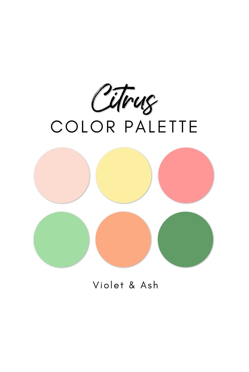 Citrus Procreate Palette Color Chart Photoshop Swatches Etsy