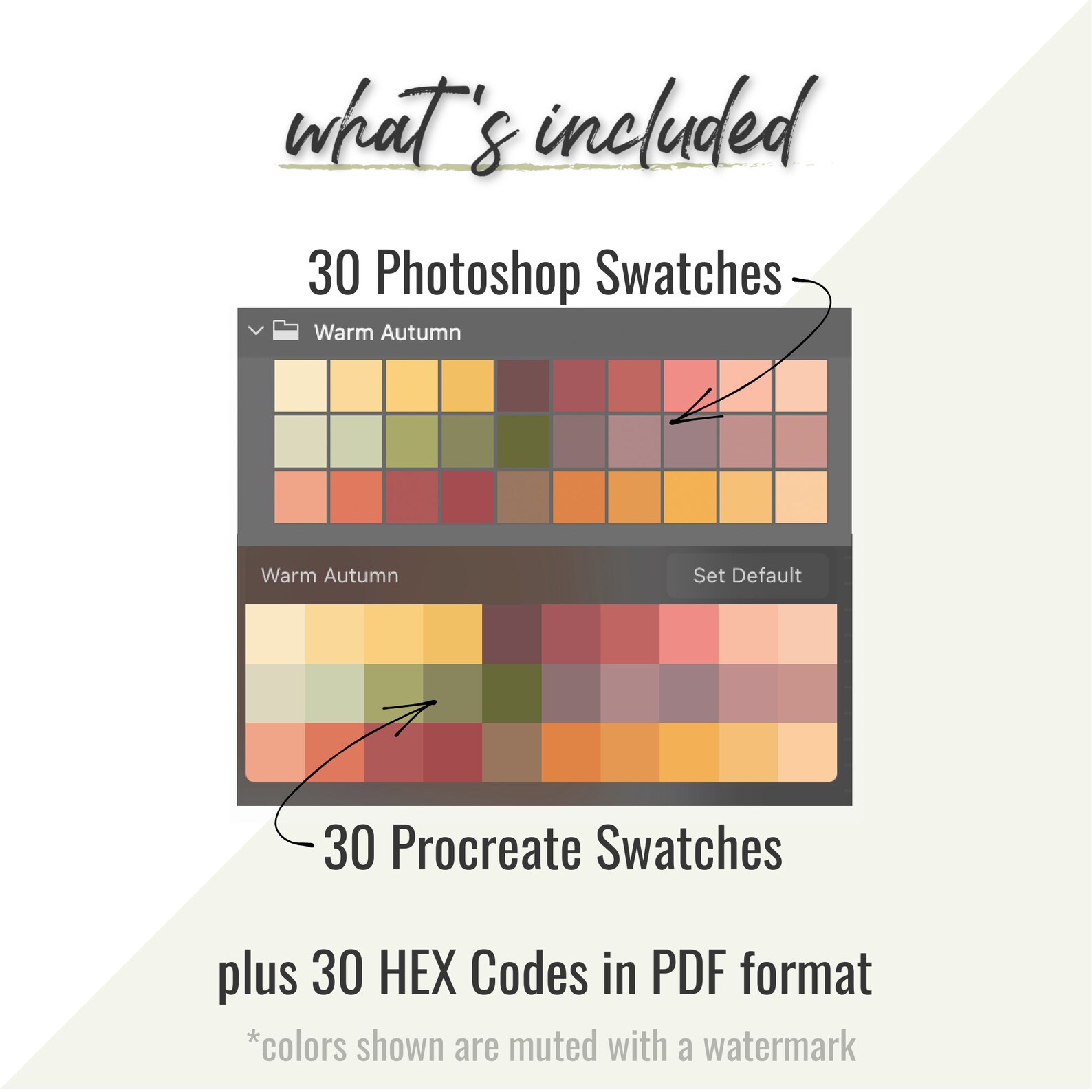 Warm Autumn Procreate Palette Color Chart Photoshop iPad | Etsy