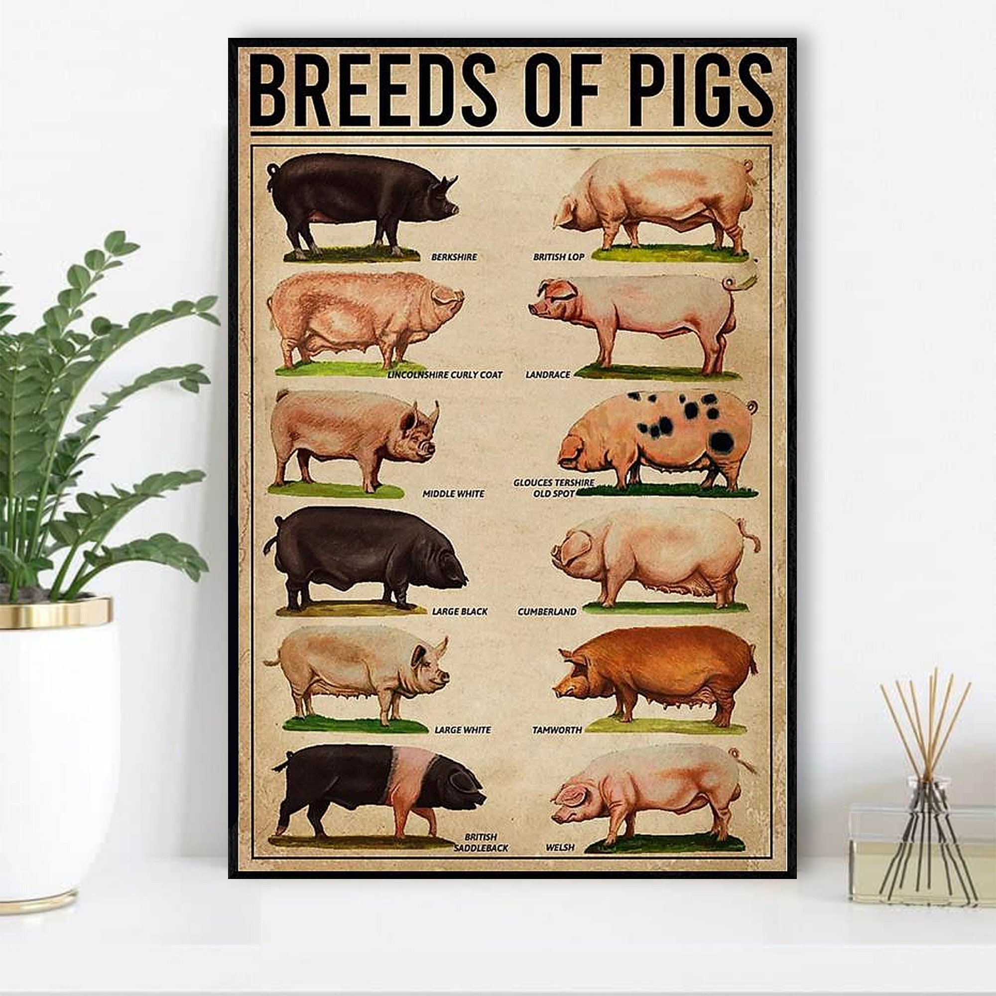 Razas De Cerdos Póster Póster Cerdo Impresión De Cerdo - Etsy México