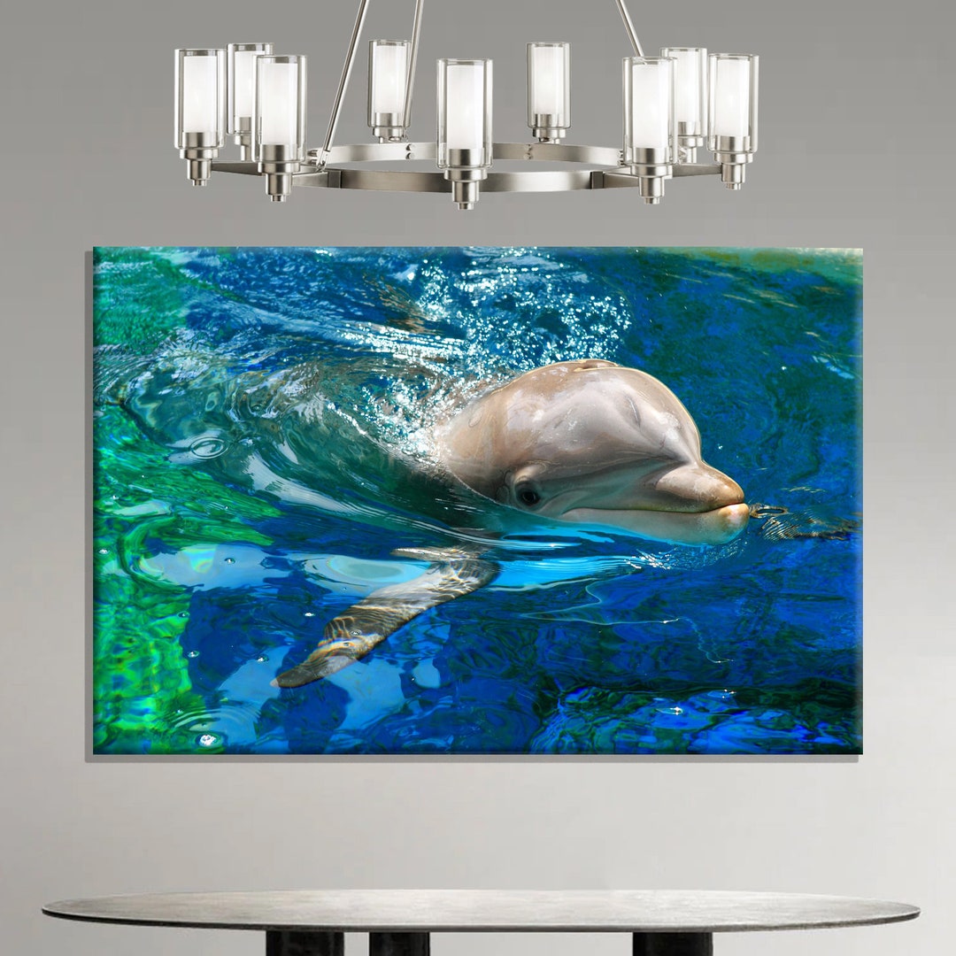 Dolphin Canvas Print, Aquatic Wall Art - Etsy