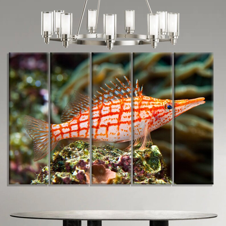 Longnose Hawkfish Canvas Print, Ocean Reef Poster, Underwater Wall Art ...