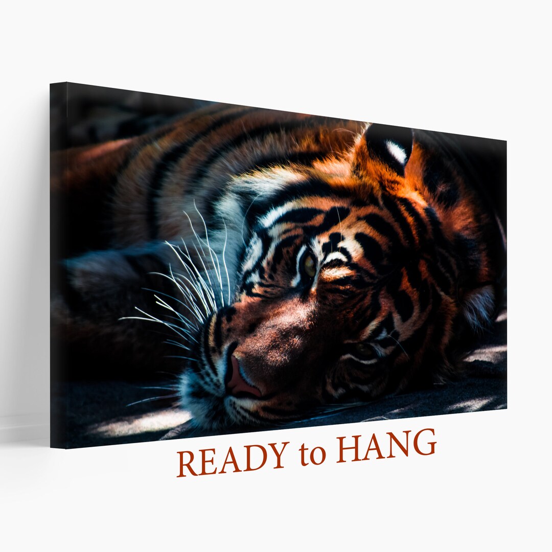 Tiger Canvas Print, Tigers Wall Art, Tiger Print, Tiger Canvas Art - Etsy