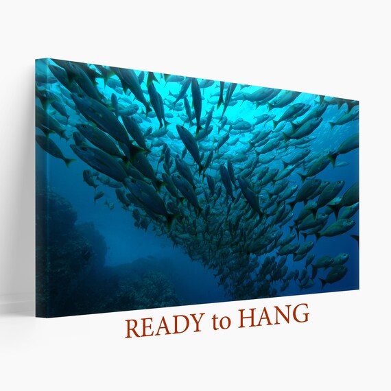 Ocean Wall Art Office Wall Decor Wild Fish Diver Gift | Etsy