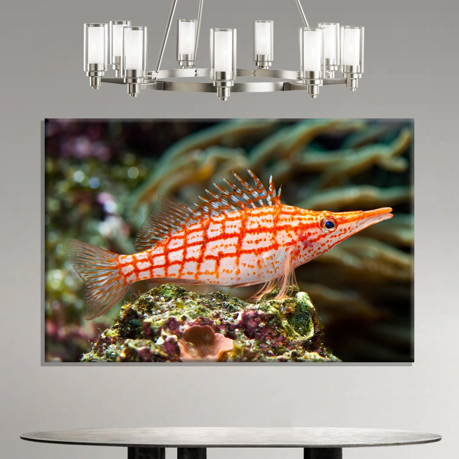 Longnose Hawkfish Canvas Print, Ocean Reef Poster, Underwater Wall Art ...