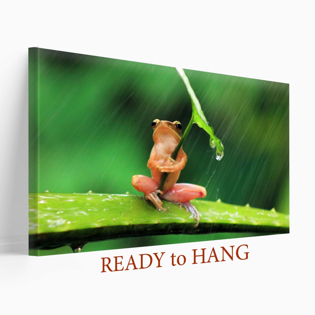 Frog Canvas Print, Frogs Wall Art, Frog Photo, Frog Poster, Frog Print ...