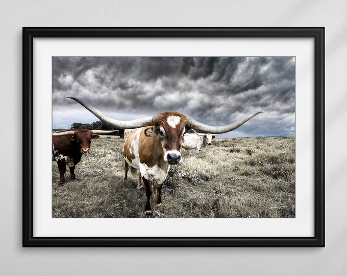 Texas Longhorn Cow and Calf Pair, Calf Art, Texas Longhorn, Cow Art ...