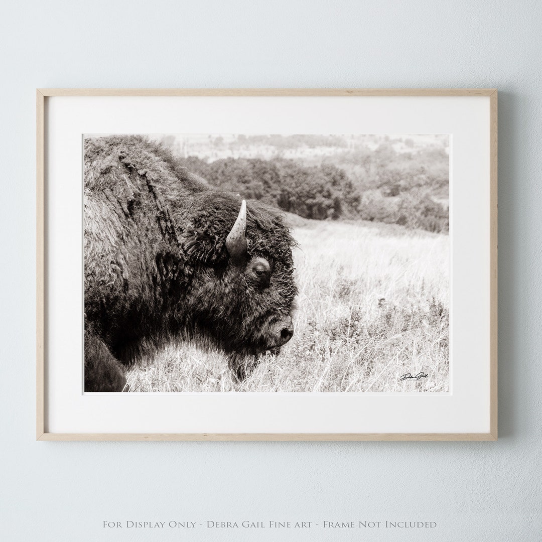 Large Buffalo Wall Art, American Buffalo Canvas Picture, Paper Print ...