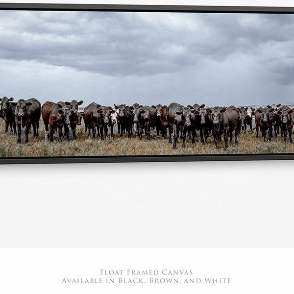 Angus Cattle Canvas - Etsy