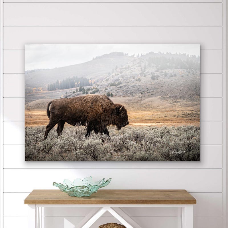 Buffalo Bison Wall Art - Etsy