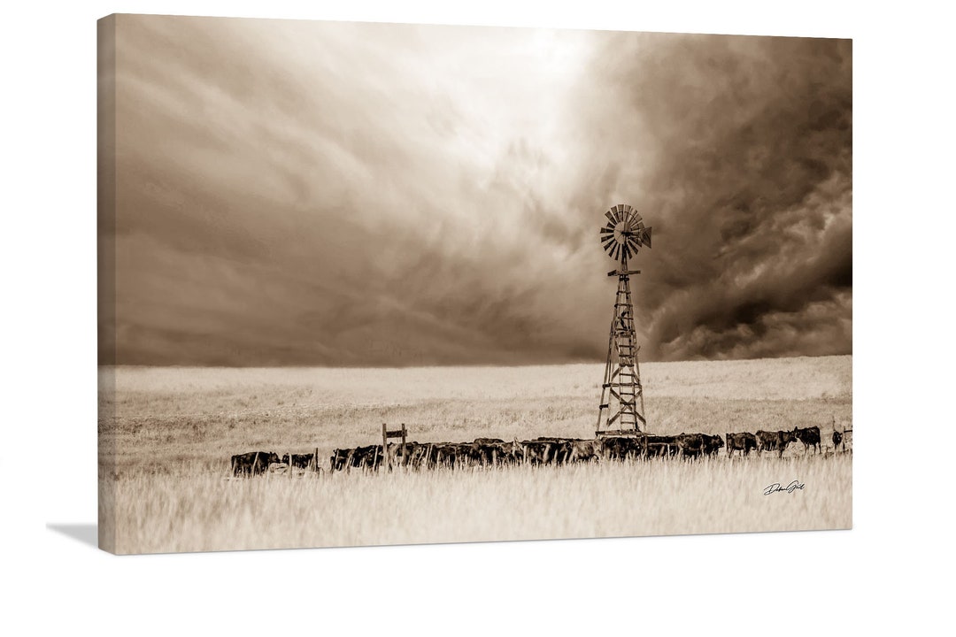 Sepia Sunset Windmill Photography Photo, Black Angus Cattle, Rustic ...