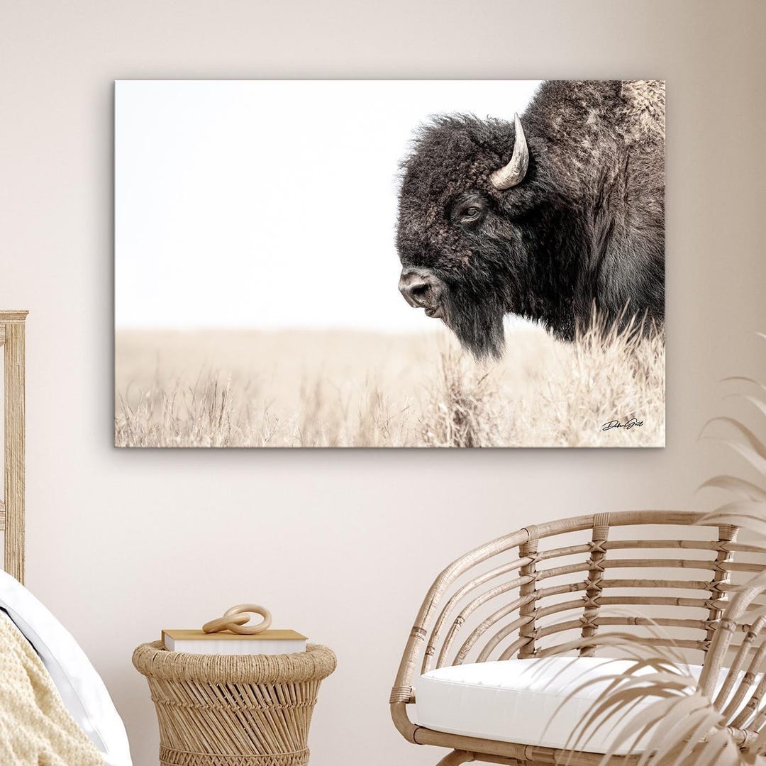 Authentic Bison Photo: American Buffalo Prairie Art - Protography ...