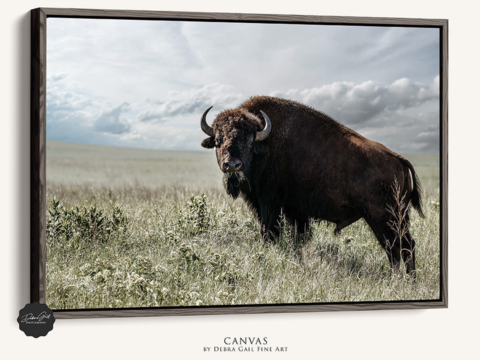 Big Bison Bull on the Prairie Rustic Fine Art Print or Canvas Western ...