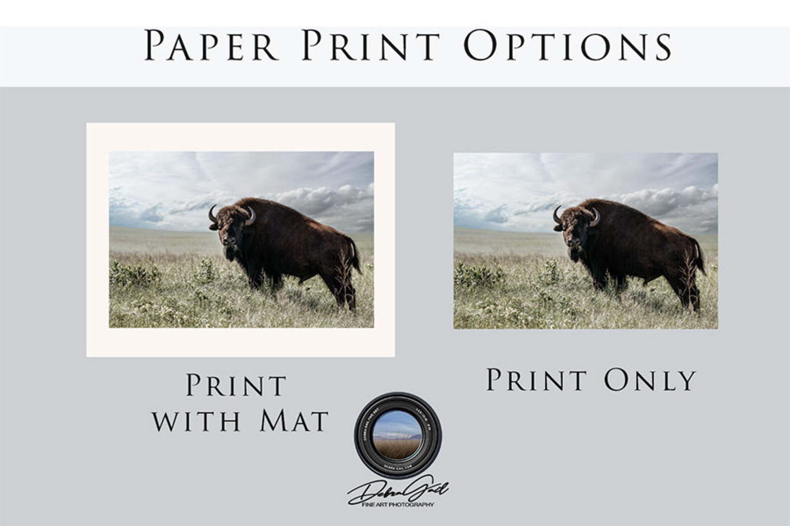 Big Bison Bull on the Prairie Rustic Fine Art Print or Canvas Western ...
