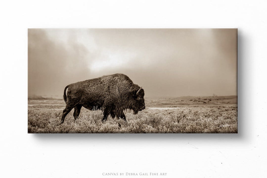 Bison Wall Art - American Buffalo Prairie Wall Art Picture - Neutral ...