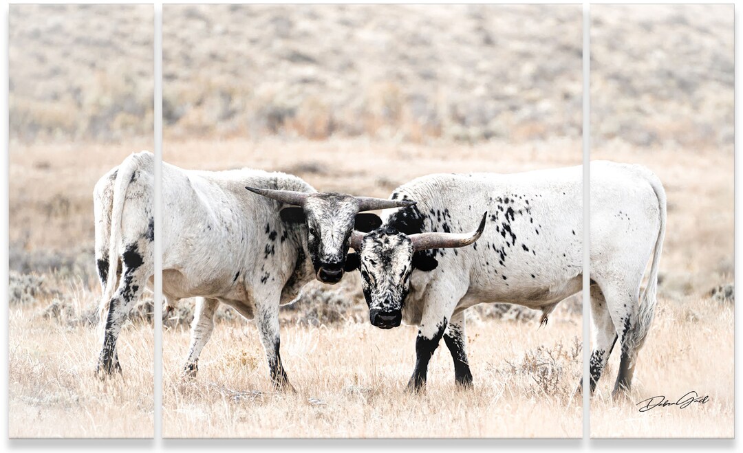 Longhorns Close-up Triptych | 3-panel Canvas Wall Art | Western Rustic ...