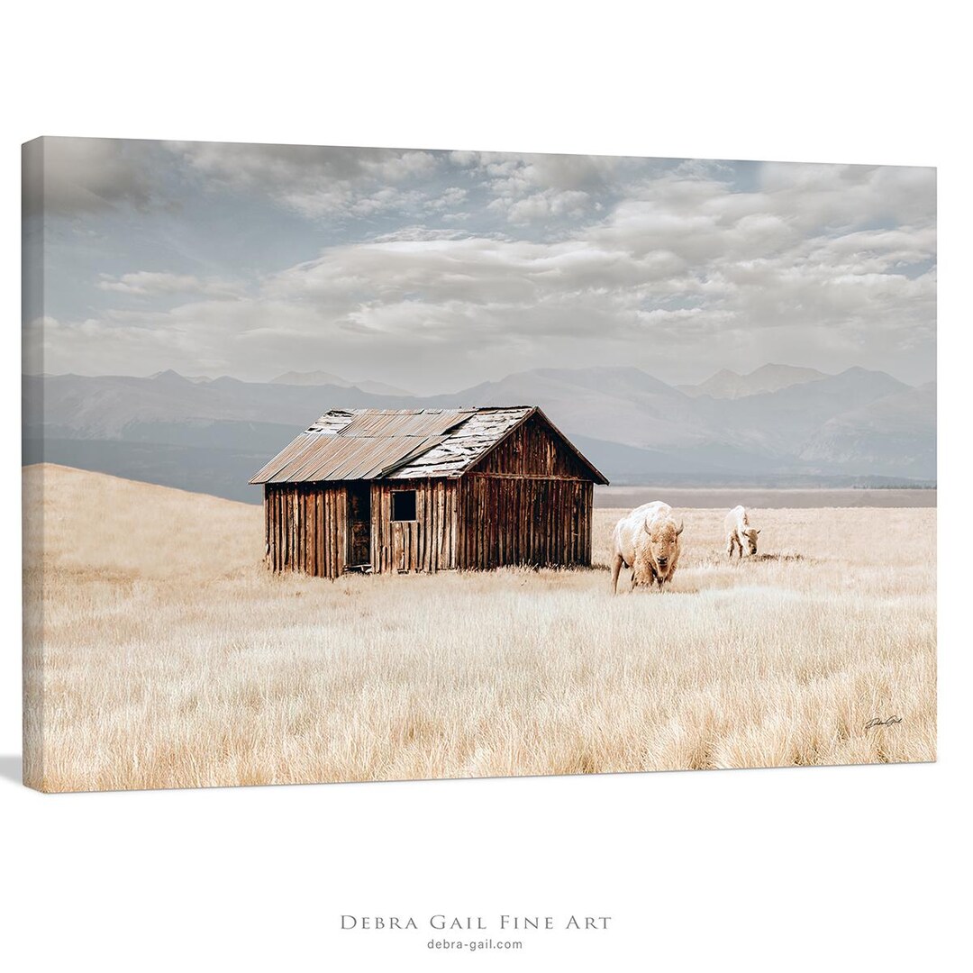 Great White Buffalo Art Print or Canvas - Gift for Her - Bison Canvas ...