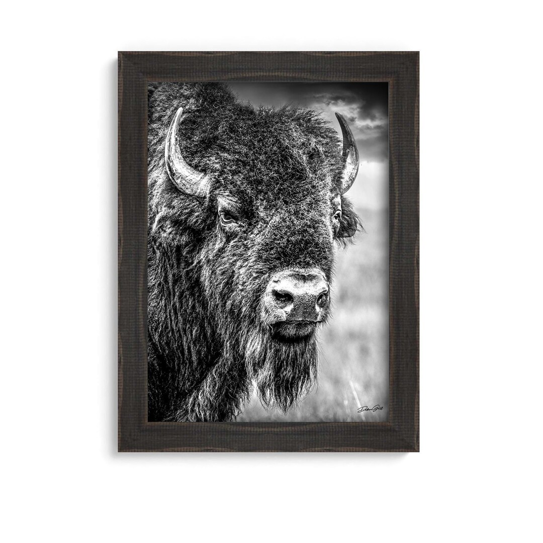 Black and White Bison Print: Rustic Western Wall Art - Etsy