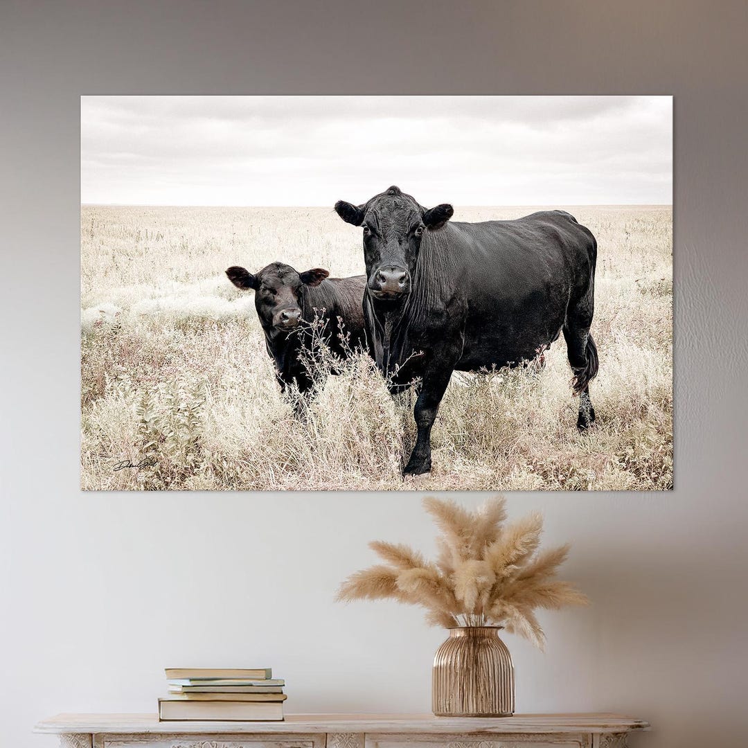 Black Angus Cow Calf Fine Art Print – Rustic Farmhouse Decor - Etsy
