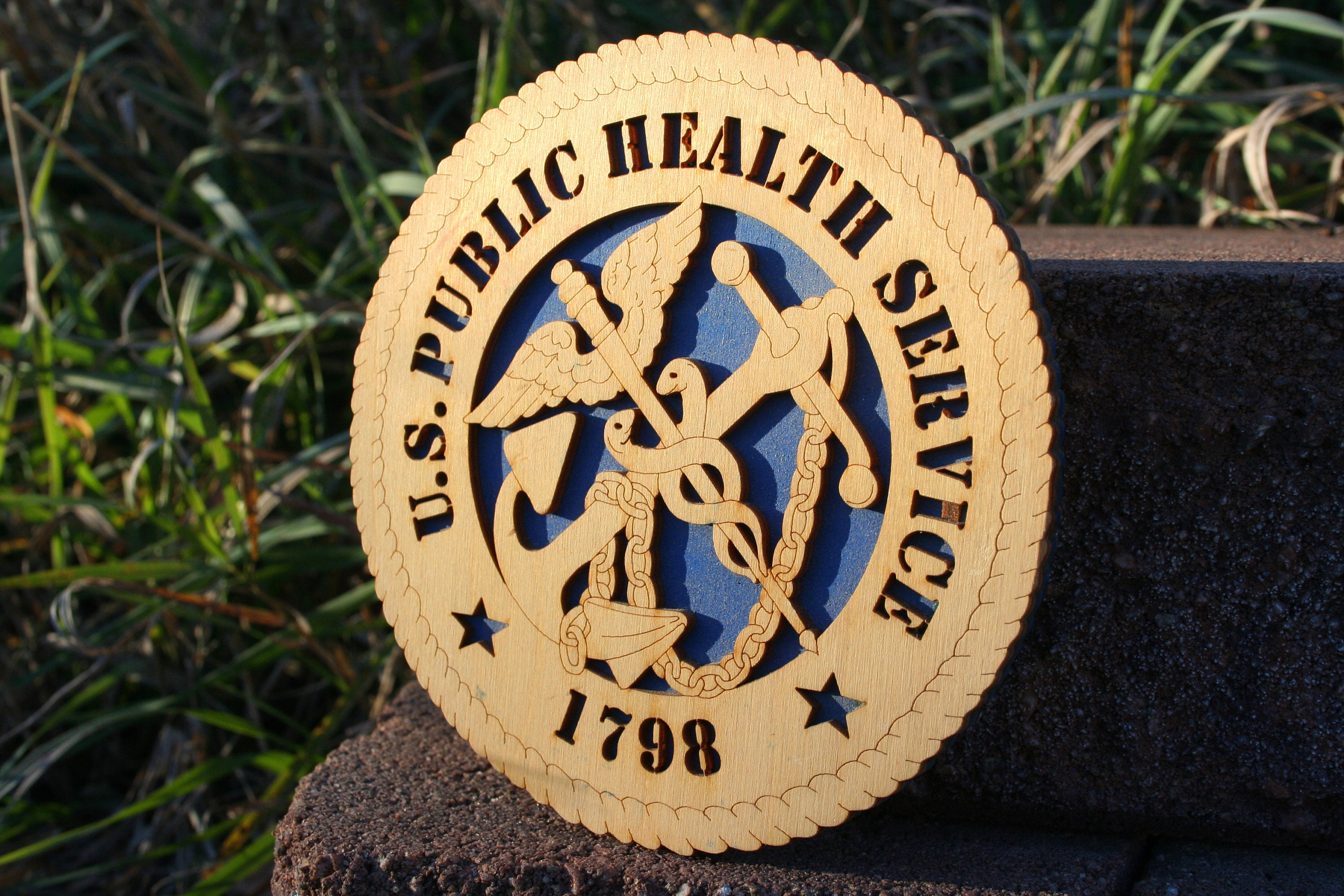 United States Public Health Service Tribute Plaque USPHS Home Decor ...