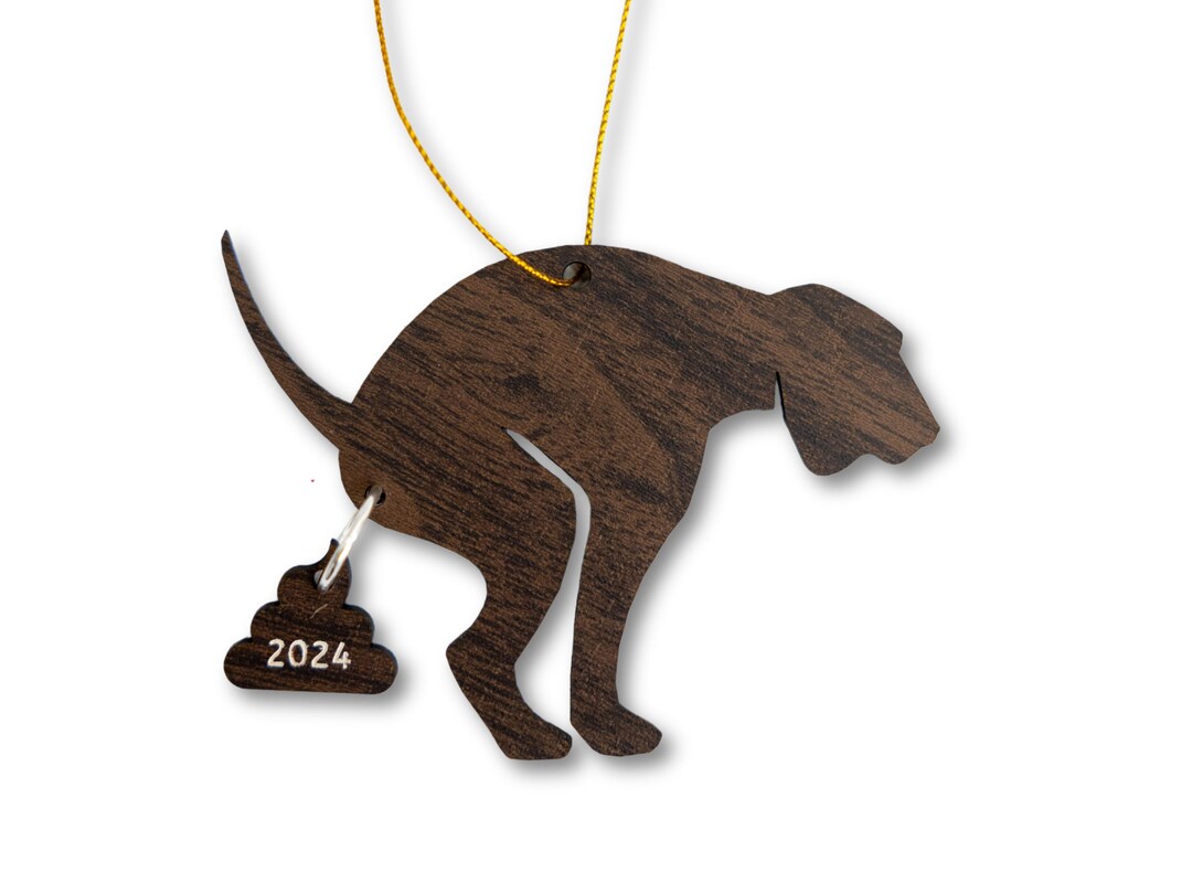 Poopy 2024 Dog Ornament / 2024 Shitshow / Crappy 2024 Ornament / What a ...