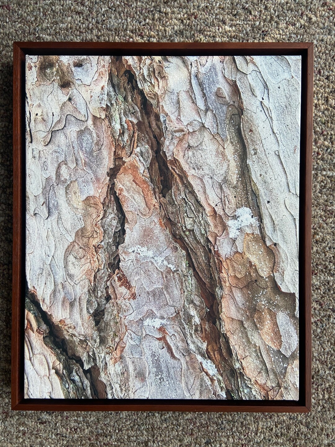 Tree Bark - Canvas Print - Etsy