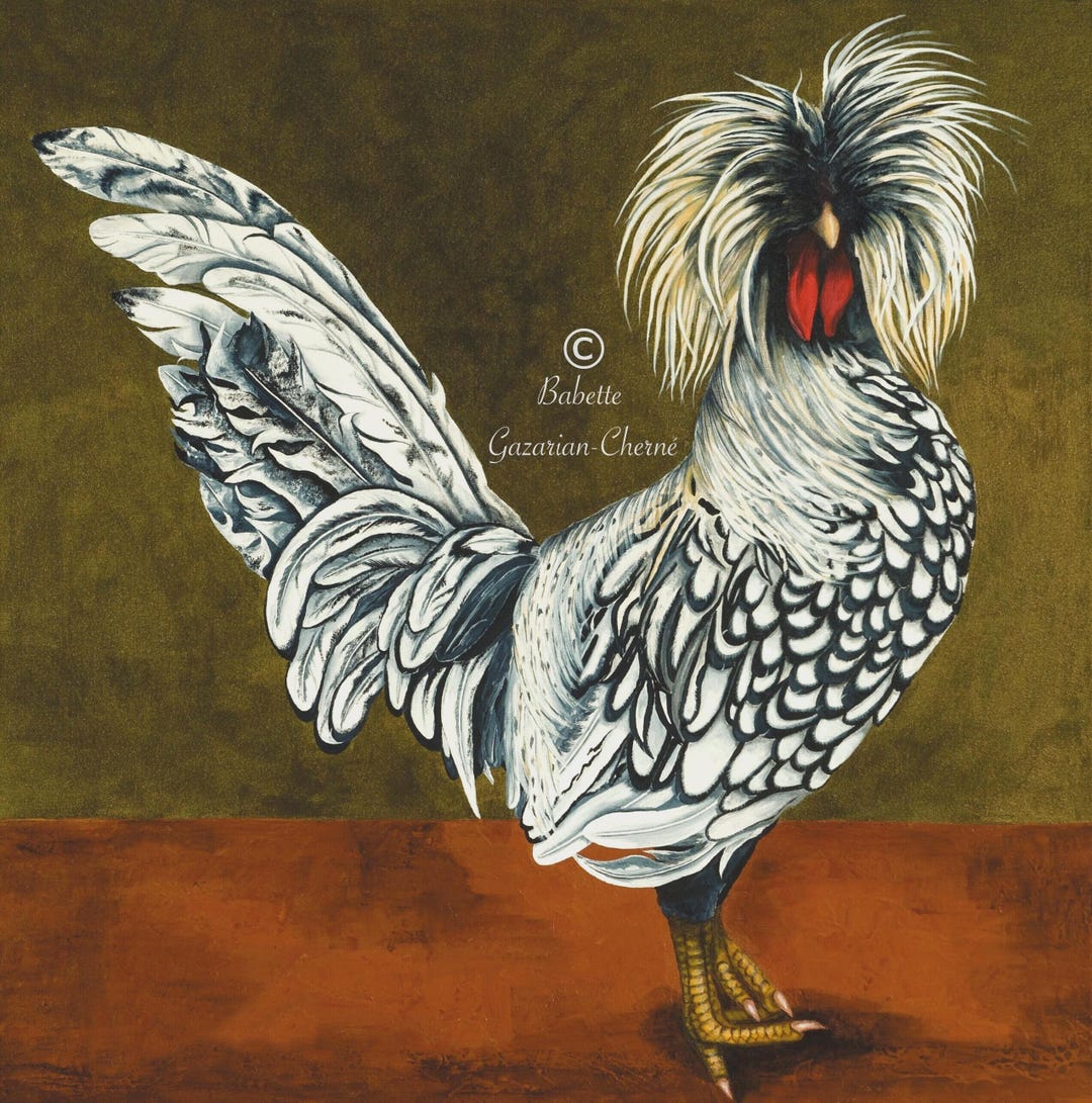 The Alpha: Silver Laced Polish Rooster Giclee Print - Etsy
