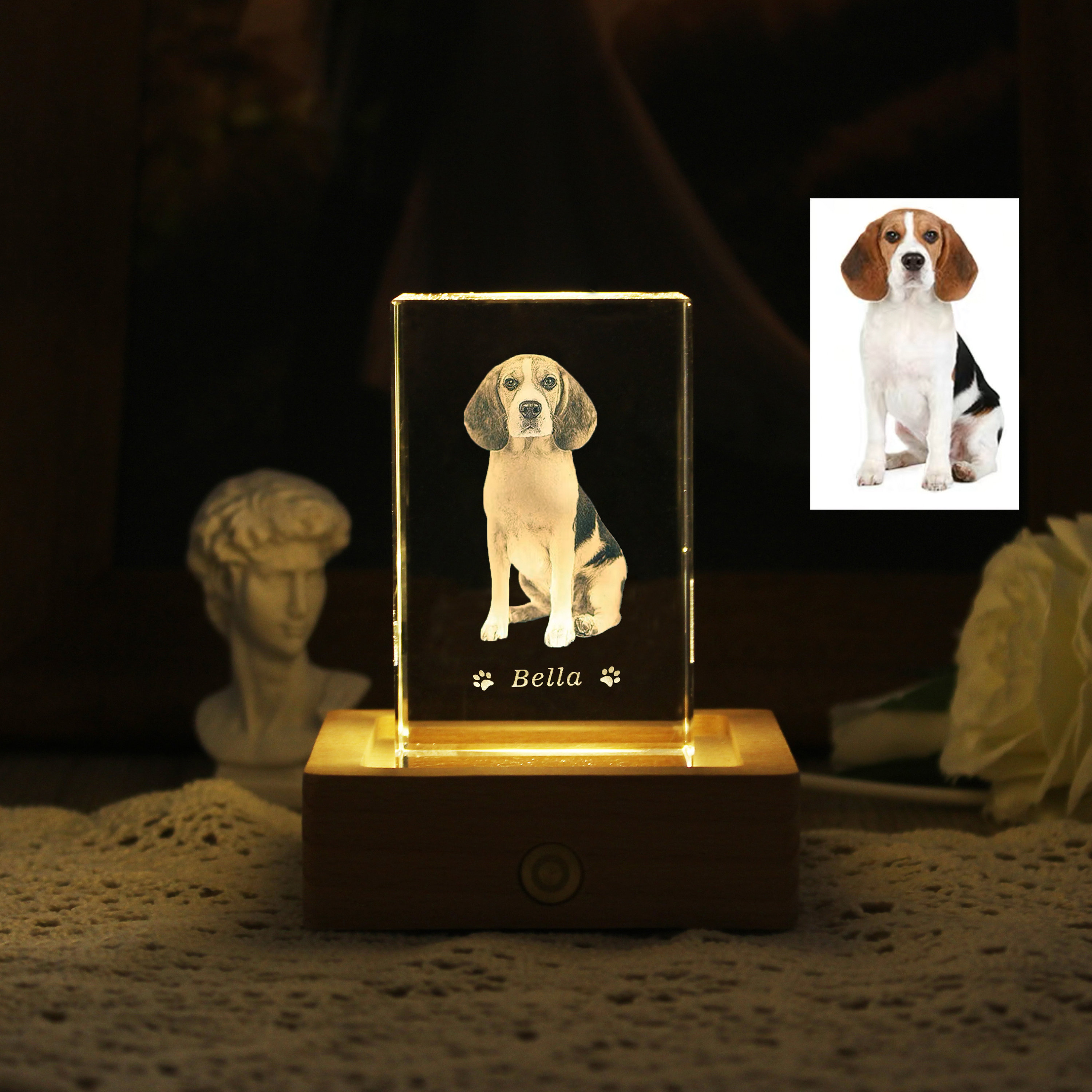 Personalized Crystal Engraved Pet Photo Night Light Crystal - Etsy