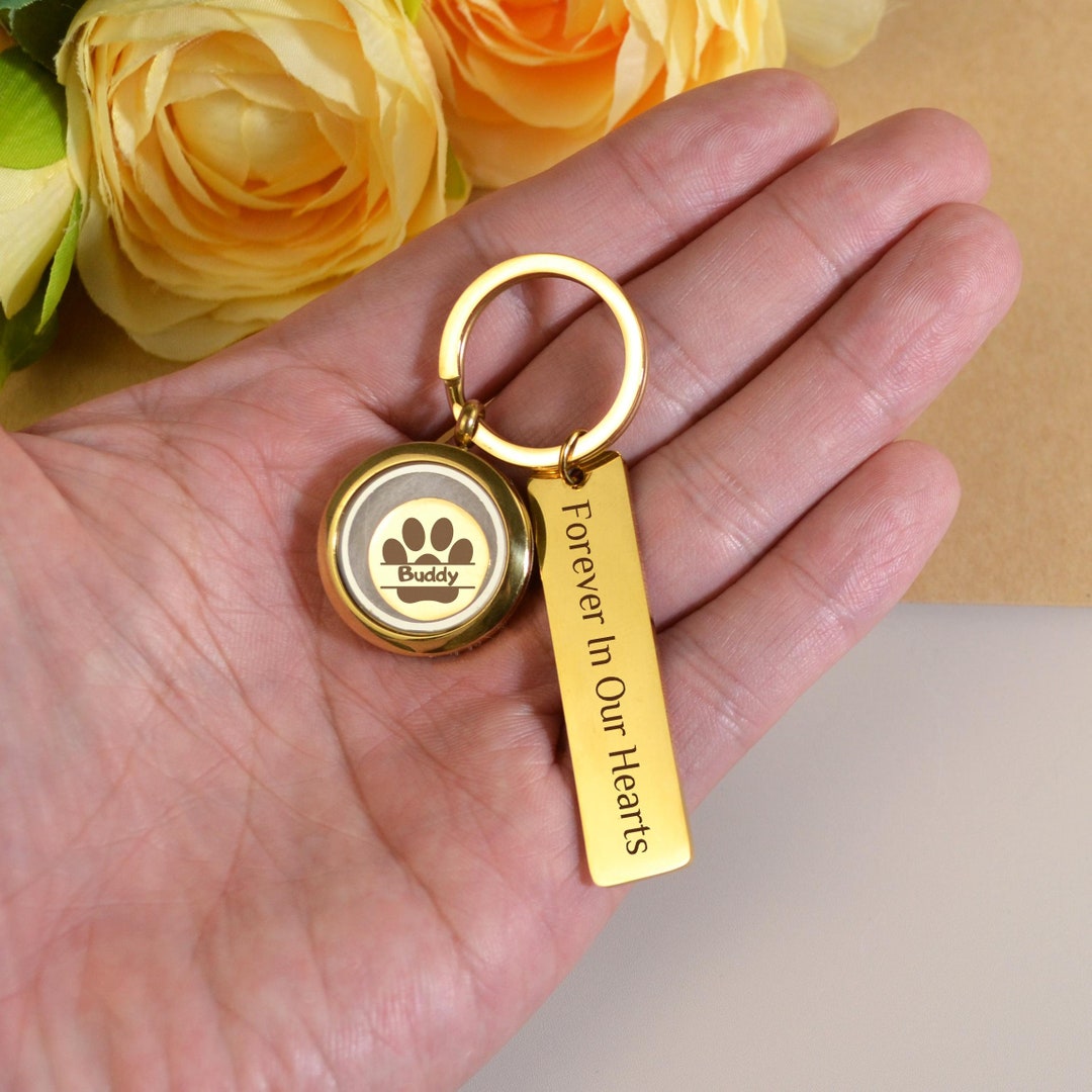 Pet Memorial Key Chain,lock of Fur Hair Key Chain,pet Remembrance Key ...