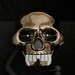 Vintage Skull Telephone Skull Phone Skeleton Head Corded - Etsy