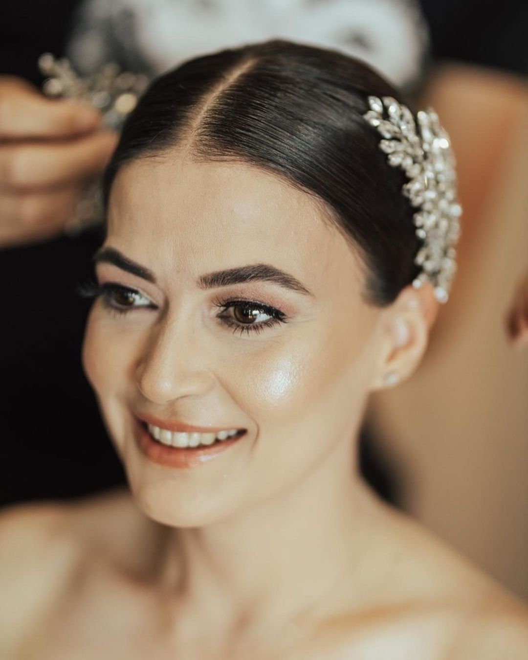 Sparkly Silver Bridal Headpiece,silver Side Headpiece,silver Swan ...