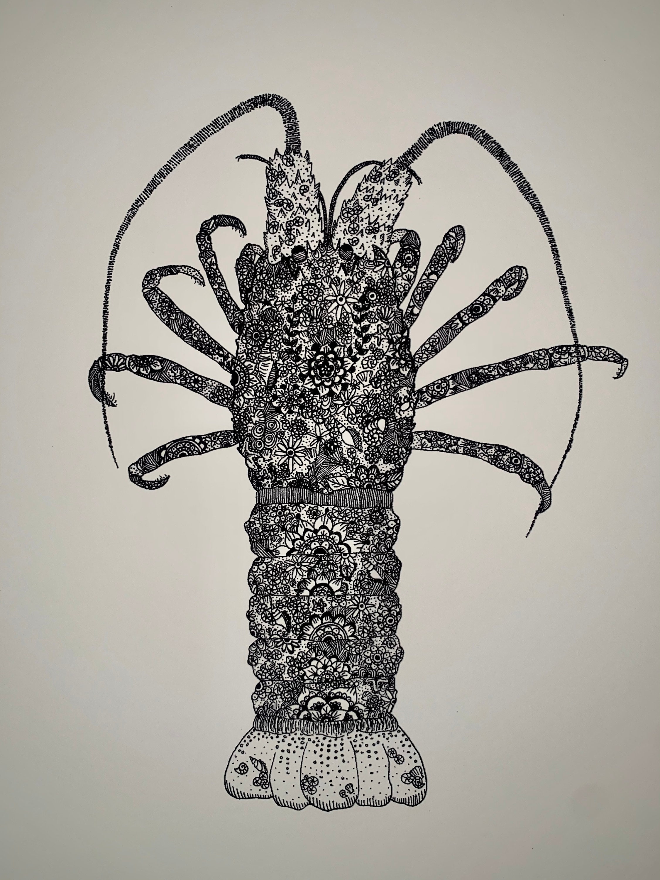 Crayfish Print Coastal Inspired Artwork - Etsy