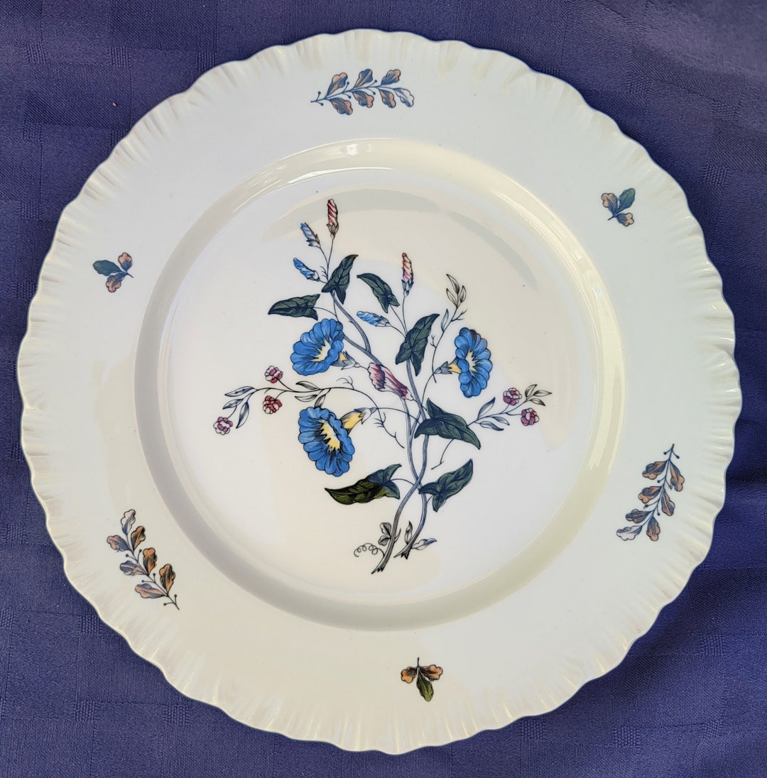 Set of 2 Wedgwood Wild Flowers Dinner Plates - Etsy