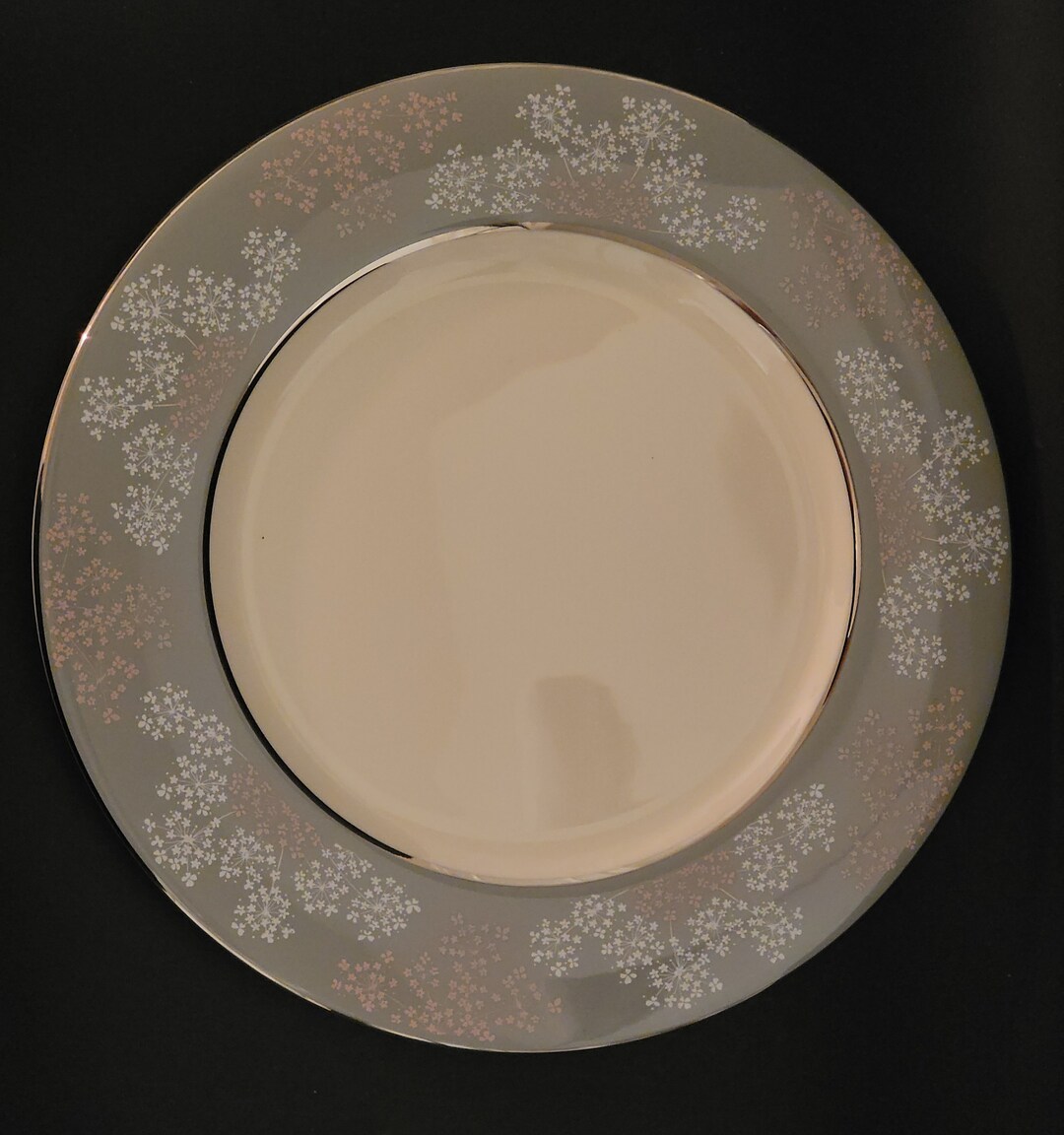 2 Mid Century Atomic Castleton Lace China Dinner Plates W/ Platinum ...