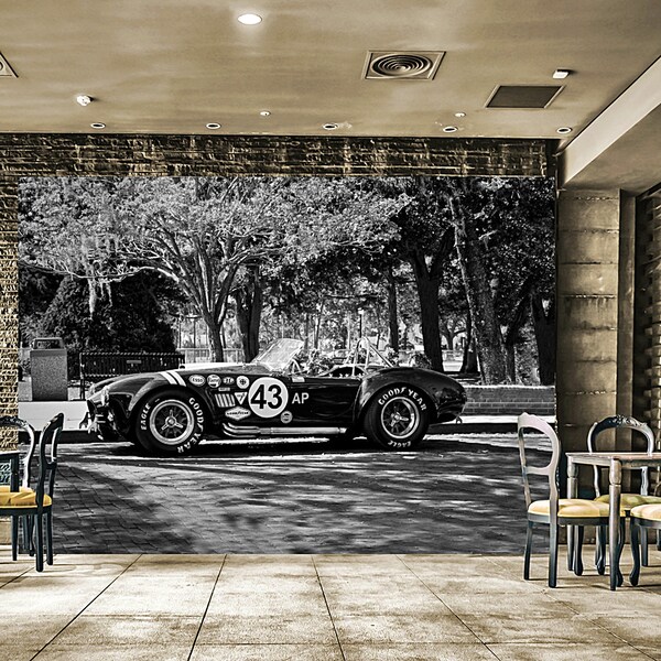 Ford Shelby - Etsy