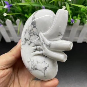 Hand Carved Howlite Kidney Carving|healing Crystal|crystal Art Kidney ...