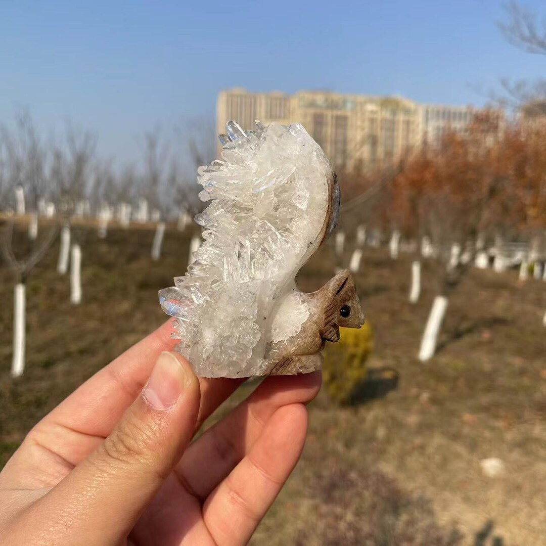 Cute Stone Squirrel Carving With Clusterhealing Crystalcrystal Squirrel ...