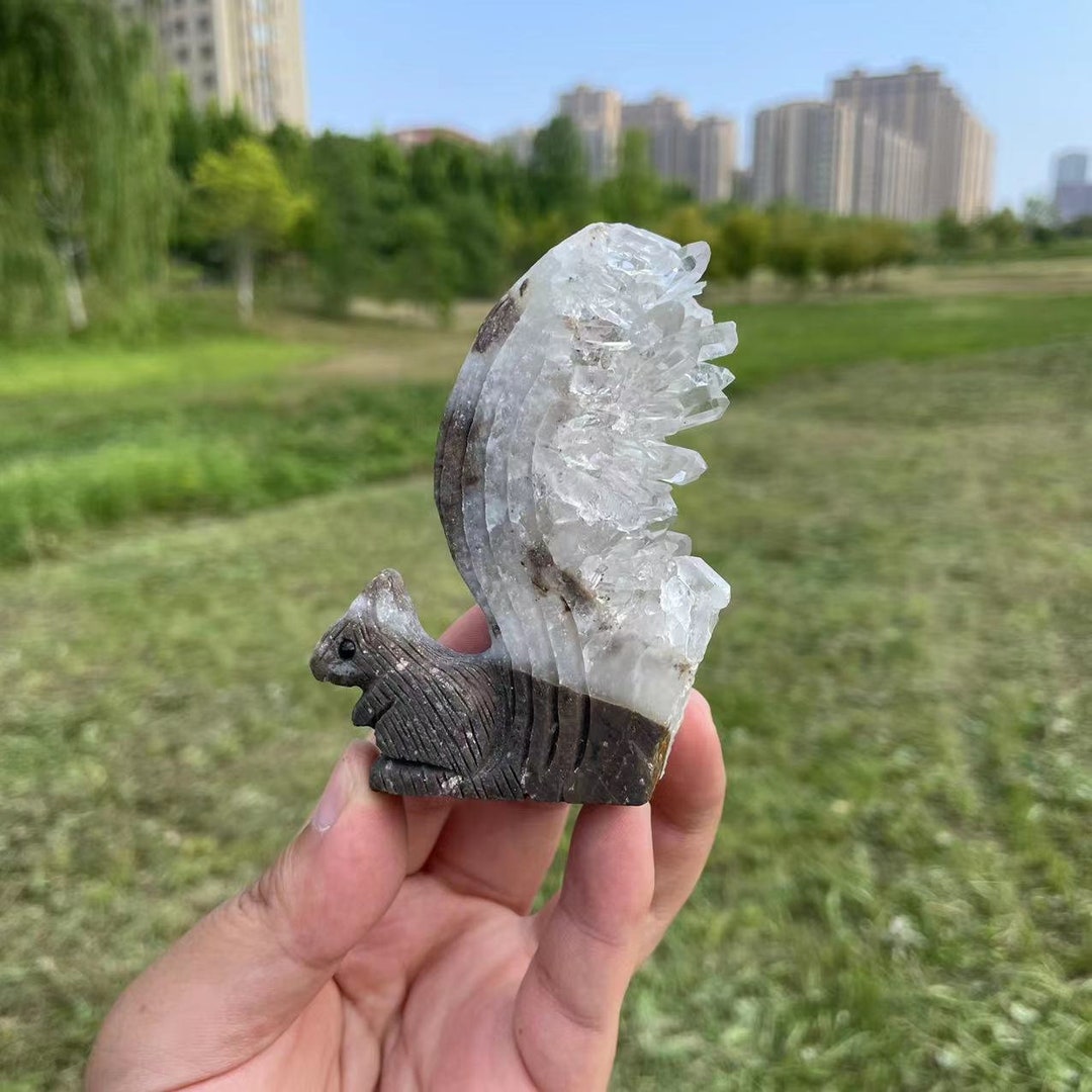 Cute Stone Squirrel Carving With Clusterhealing - Etsy