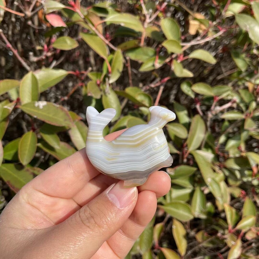 Cute Hand Carved Agate Whale Carving|crystal Healing|crystal Agate ...