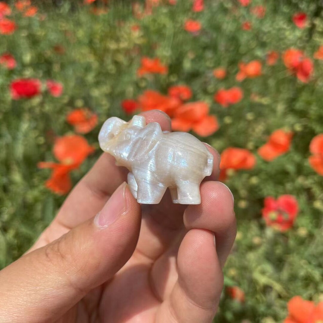 Natural Flash Moonstone Elephant Carving: Crystal Animal Sculpture - Etsy