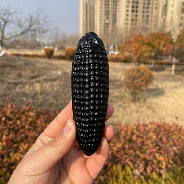 Glass Gem Corn - Etsy Canada