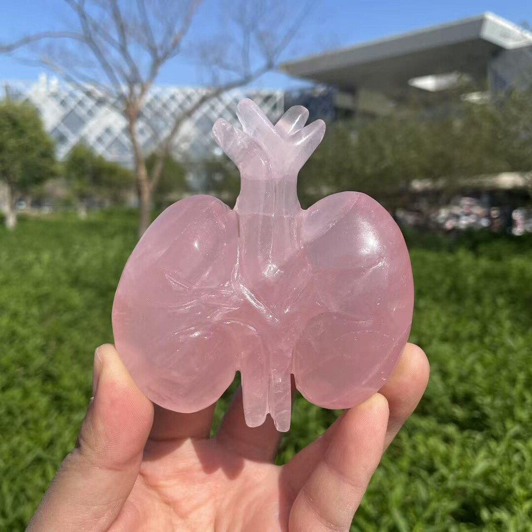 Hand Carved Rose Quartz Kidney Sculpture: Healing Crystal Gift - Etsy