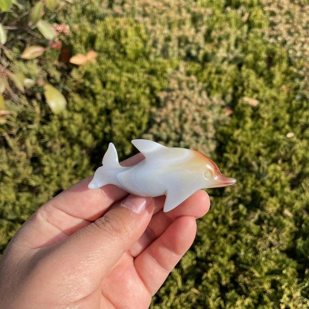 Cute Hand Carved Agate Dolphin Carving|crystal Healing|crystal Agate ...