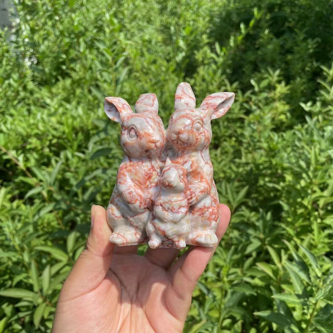 Hand Carved Red Spider Jasper Rabbit Family Carving|healing Crystal Red ...