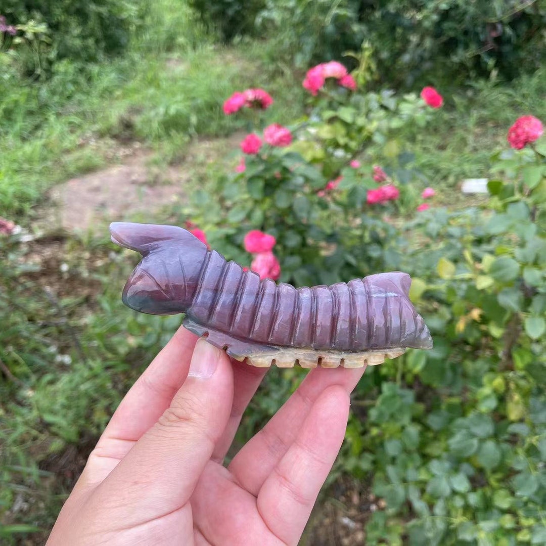 Hand Carved Ocean Jasper Caterpillar Carving|crystal Caterpillar ...