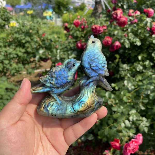 Bird Stone - Etsy
