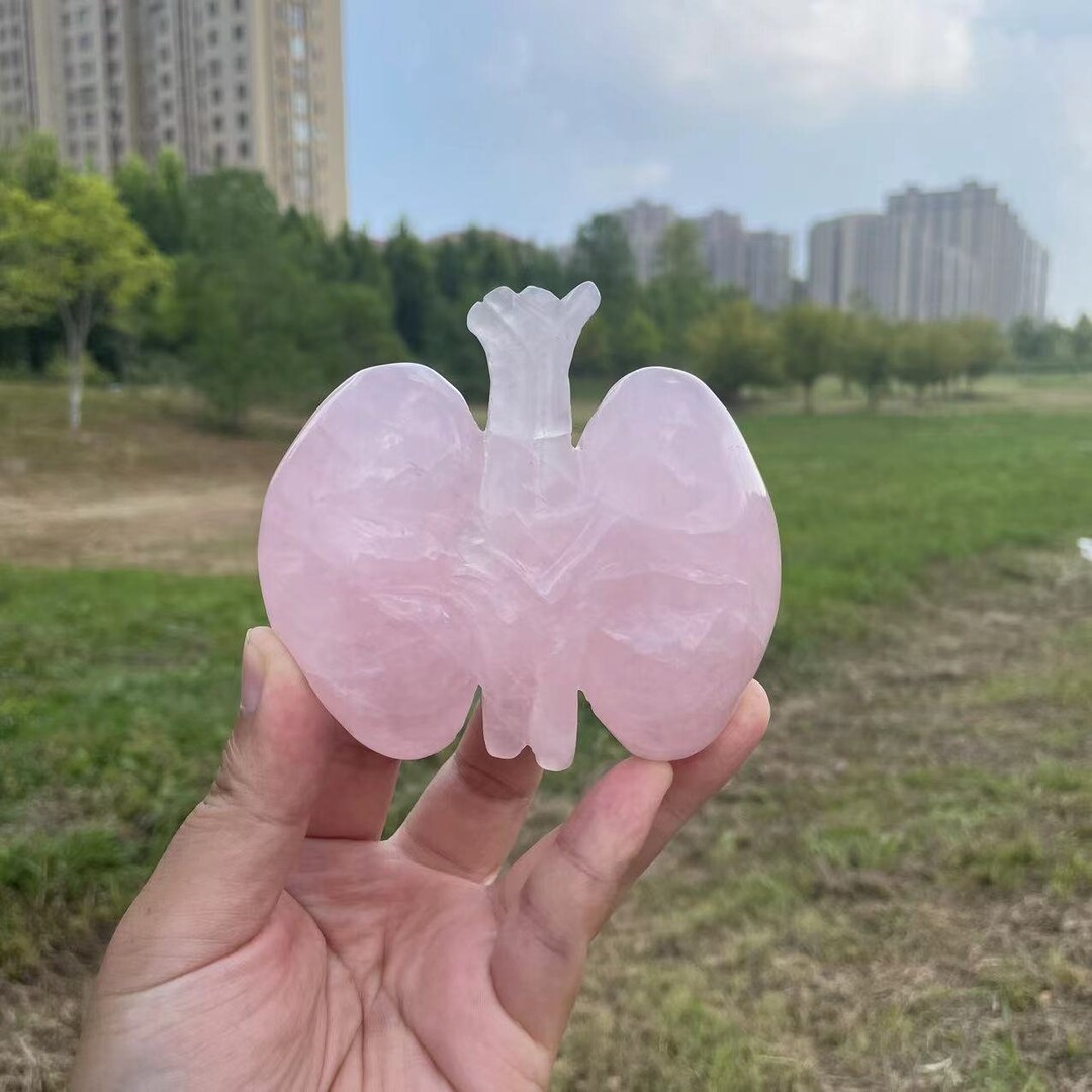 Hand Carved Rose Quartz Kidney Sculpture: Healing Crystal Gift - Etsy