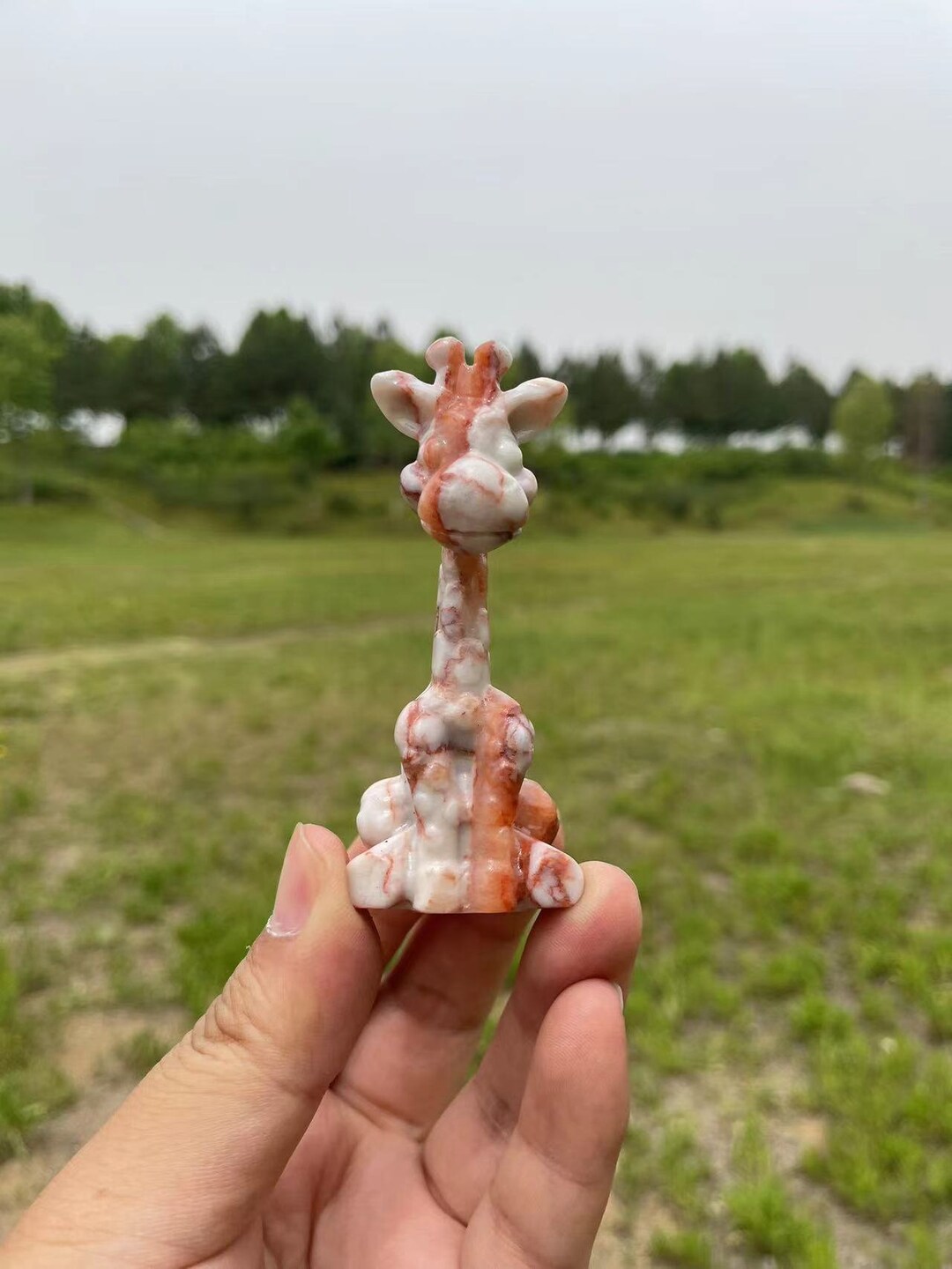 Red Spider Jasper Giraffe Carving: Crystal Animal Statue - Etsy