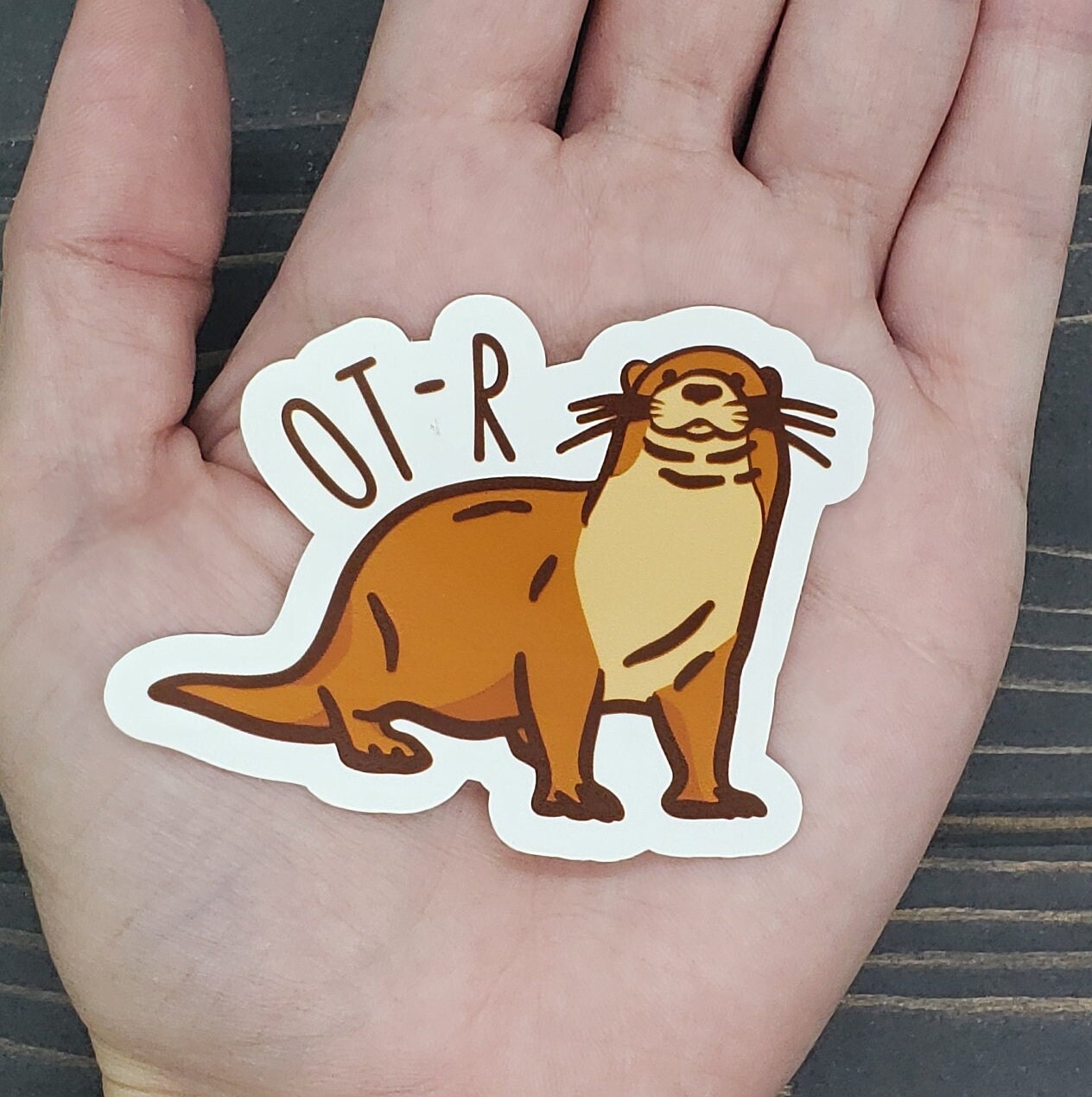 OTR Otter Sticker Cute Water Resist Decal for Water Bottles - Etsy