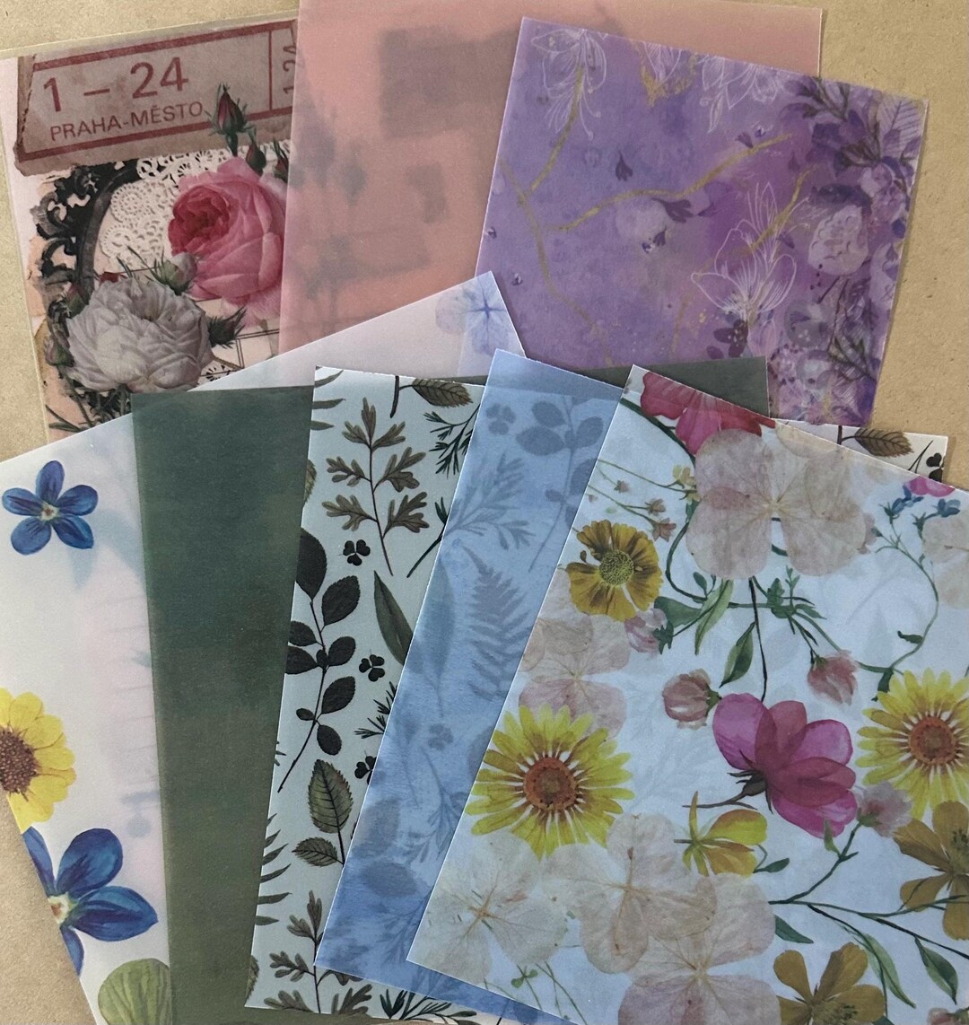 8 Different Pieces of Vellum - Etsy